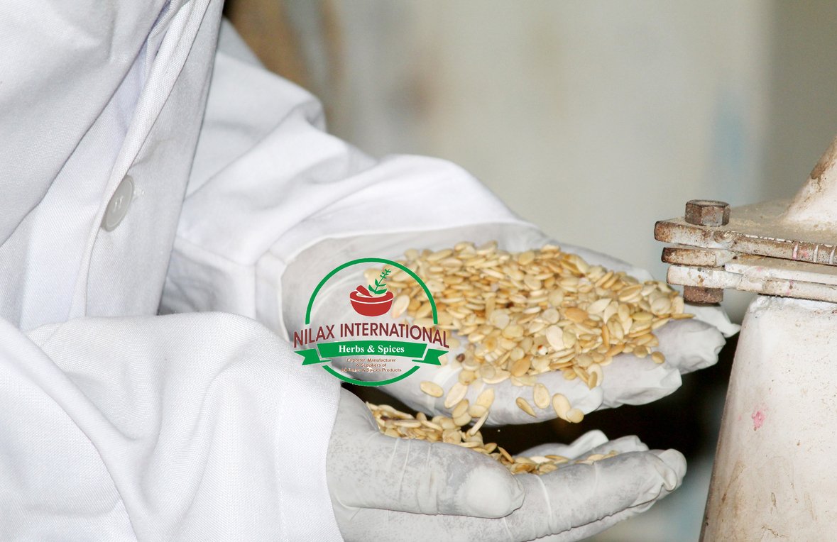 Leading processor and exporter of watermelon seeds and kernels from india