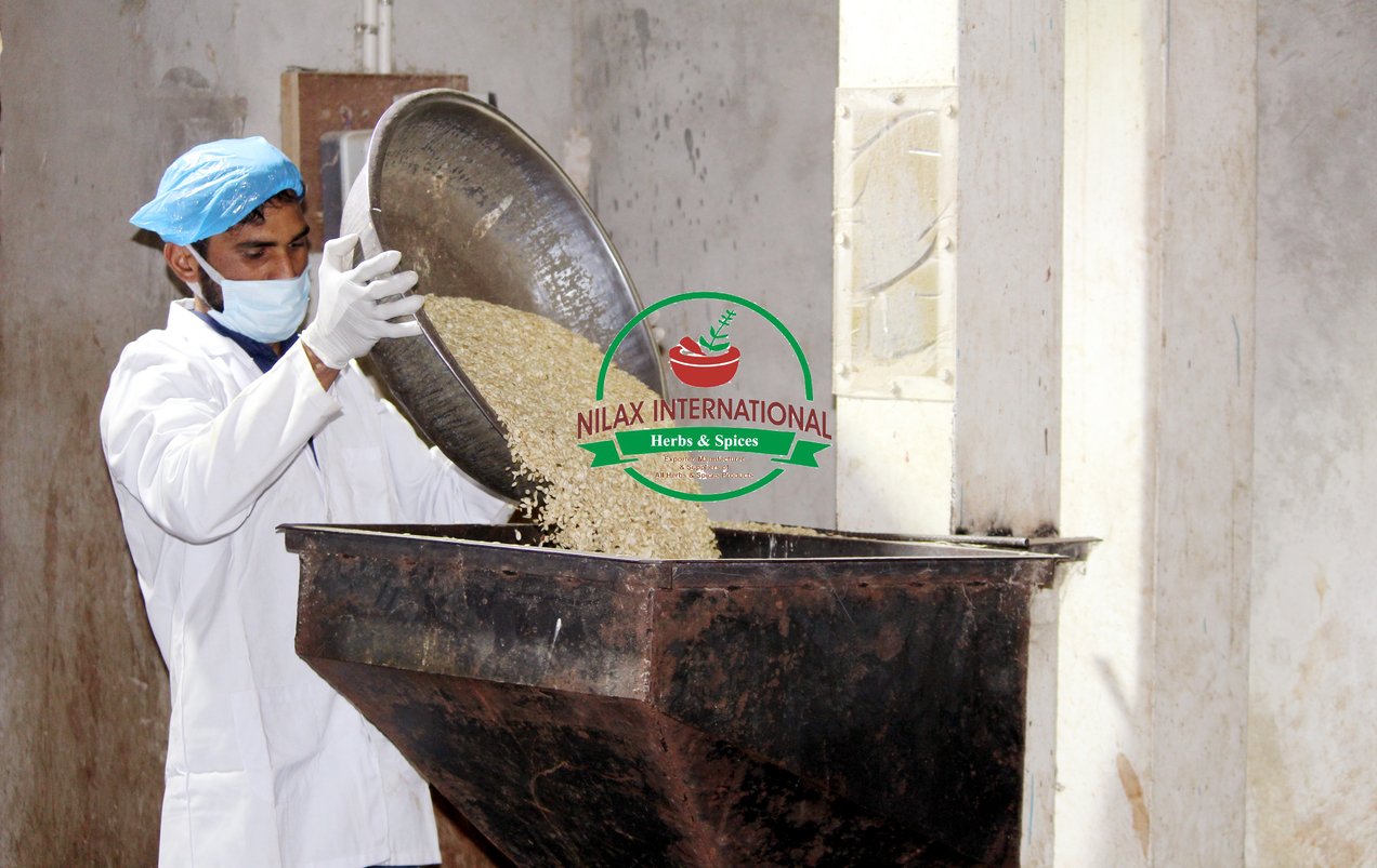 Leading processor and exporter of watermelon seeds and kernels from india